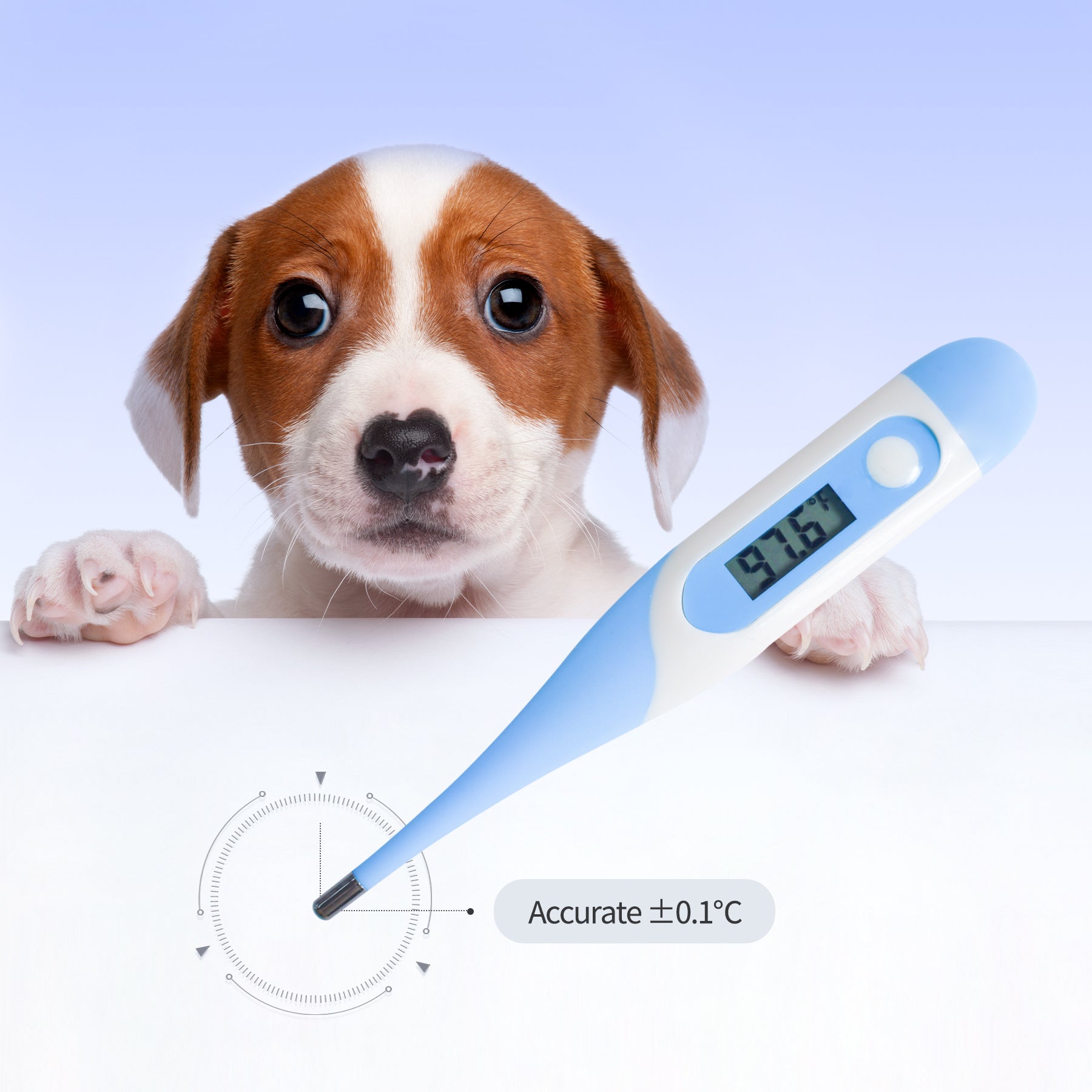 T15S VET Digital thermometer Rapid diagnosis veterinary use pet cat do – CONTEC